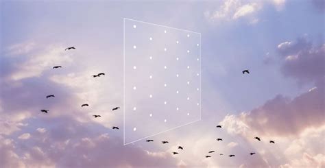 Bird Friendly Glass Finnglass