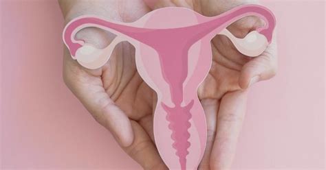 뇌졸중 걸린 여성 흡연자피임약이 병 키웠다 왜 건강한 가족