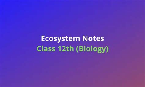 Ecosystem Class 12 Biology Chapter 14 Notes Handwritten Notes Pdf Download Readaxis