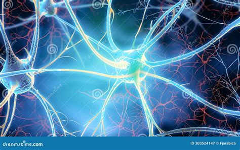 Neurons Brain Cells Located In The Temporal Lobe Of The Human Brain