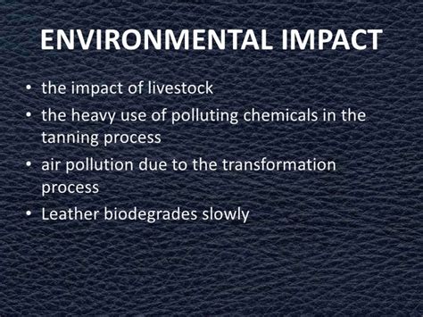 Impact Of Leather On The Environment At Eva Gopinko Blog