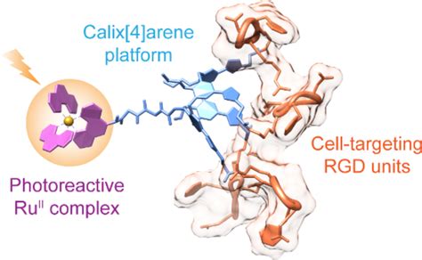 Bjoc Bjoc Macrocyclic And Supramolecular Chemistry