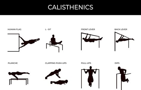 What Is Calisthenics 14 Best Exercises Revealed