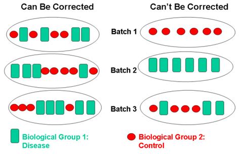 Batch Processing Of Microarray Samples From Different Biological