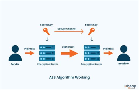 🔐 암호학cryptography의 원리 알고리즘 디지털 서명 양자 암호 — Meoraeng Devnote 📘