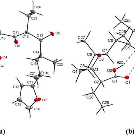 View Of X Ray A And Dft Optimized B Molecular Structure Of 2 With