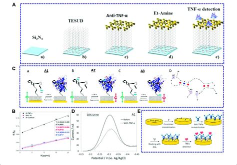 A Schematic Illustrations Of The Chemical Surface Modification And Download Scientific