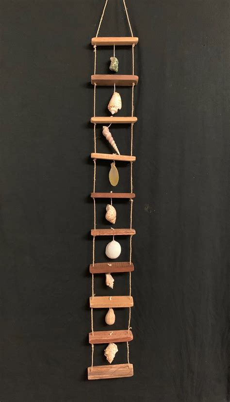 Asst Shell Ladder Darlenes Shells