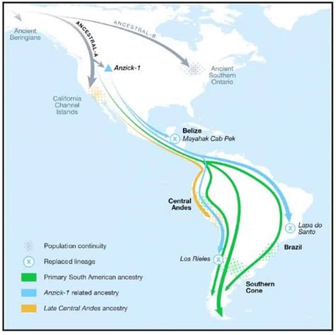Ancient Dna Reveals Two Previously Unknown Migrations Into South America