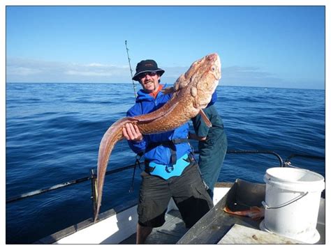 Hoki Fish What It Looks Like And Where It Is Found The Benefits And