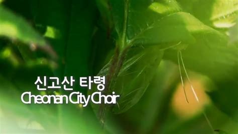 신고산 타령 김희조 편곡 천안시립합창단 사랑과 희망의 노래 Youtube