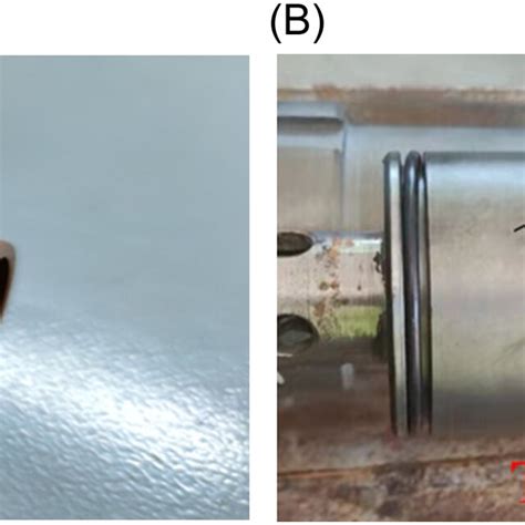 The Physical Diagram Of The Buffer System A Copper Tube And B Download Scientific Diagram
