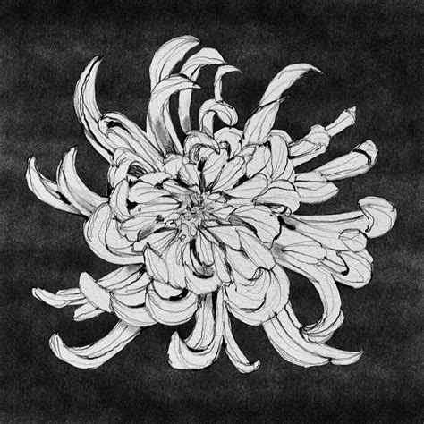 도리ㅣ서일페 G18 ☀️🌊 Drawing Draw Sketch Illustration Ipad 그림 드로잉 스케치