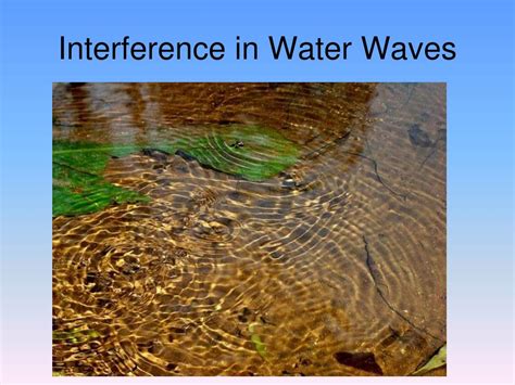 PPT Waves At Boundaries Reflection Interference Of Waves PowerPoint Presentation ID 1116746