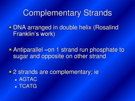 Dna Replication Ppt Download