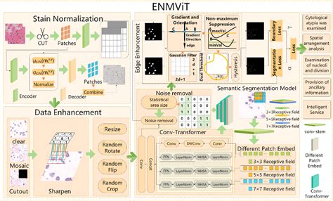 Figure 1 From A Medically Assisted Model For Precise Segmentation Of