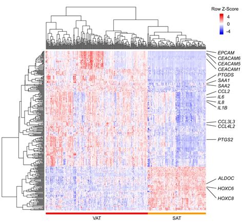 文献中的热图代码实现（热图标记感兴趣的基因基础知识）rowannotation Csdn博客