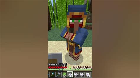 The Only Useful Wandering Trader Minecraft Wanderingtrader Gaming