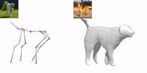Github Gengshan Yrac Rac Reconstructing Animatable Categories From