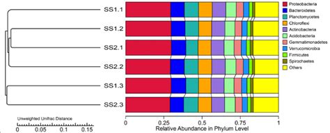 Unweighted Pair Group Method With Arithmetic Mean Clustering Tree Based