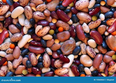 Beans And Lentils Background Stock Photo Image Of Legume Protein