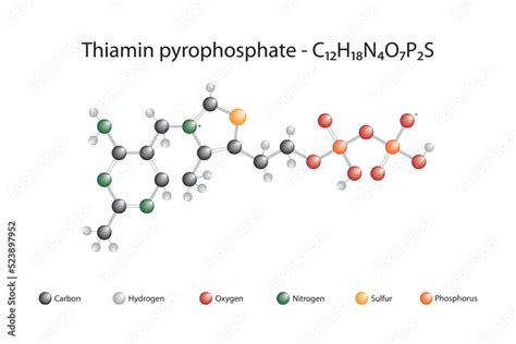 Molecular Formula And Chemical Structure Of Thiamin Pyrophosphate Stock Vector Adobe Stock