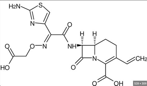 Cephalosporin 3rd Generation Test And Flashcards