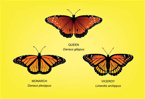 18 Enigmatic Facts About Batesian Mimicry