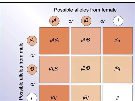 Gene Interaction Pptx