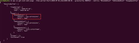 Securitysynapse Fun With Aws Cli Cost Explorer Ce Api