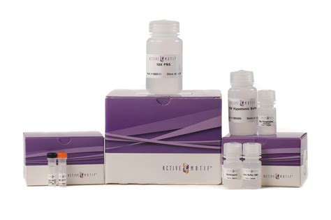 Nuclear Extract Kit Nuclear Cytoplasmic Or Whole Cell Lysates