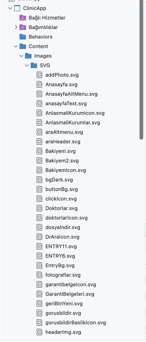 While Images Appear In Debug And Release Mode In My Xamarin Android Application Images Do Not