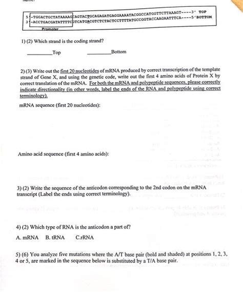 Solved 23 21 Below Is The DNA Sequence Of The Chegg Com