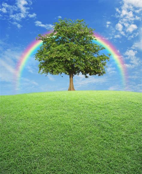 Free Images Grass Cloud Structure Sky Field Lawn Background Of Grass