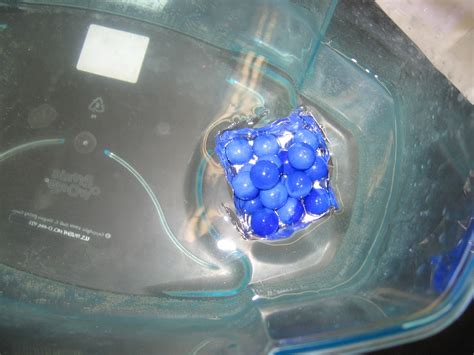 Mr Williams 6th Grade Science Blog Sink Float Density