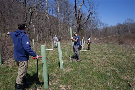 Plant A Tree With The Watersheds Team