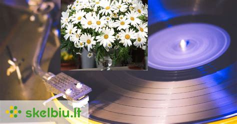 Sex Service Vilniu Vilnius Skelbimai Skelbiu Lt