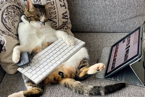 Authenticated Serverless Crud With Netlify Functions And Faunadb Part 3