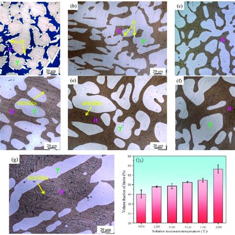 Microstructural Evolution Of Samples With Different Solution Treatment Download Scientific