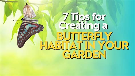 Butterfly Kit Live Caterpillars Butterfly Garden Habitat Collapsible