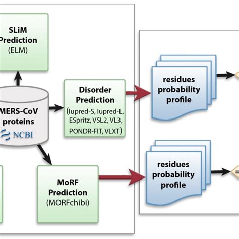 Schematic Representation Of The Computational Analysis Applied To The Download Scientific