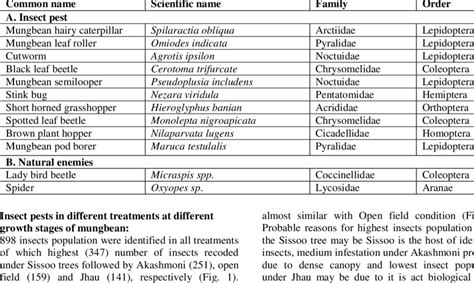 Insect Pests And Natural Enemies Recorded In The Mungbean Field