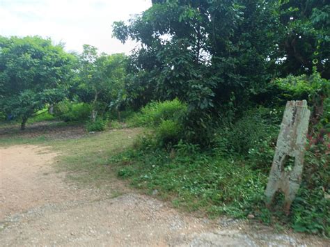 ขายที่ดินเนื้อที่ 1 งาน ตำบลทาขุมเงิน อำเภอแม่ทา จังหวัดลำพูน ราคา 3 แสนบาท ที่ดินร้อยแปด คอม