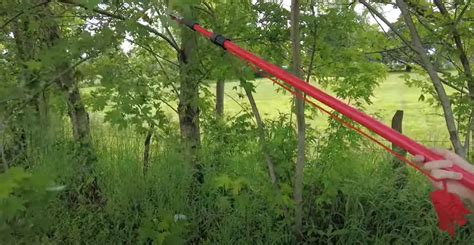 How To Use A Pole Pruner PoleSawGuide