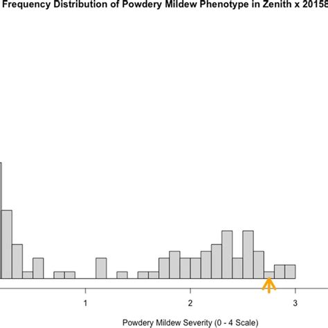 Of The Quantitative Trait Locus Analysis Qtl In An F1 Population Download Scientific Diagram