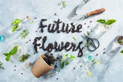 8 Great Tips For Using Text Or Typography In Photography