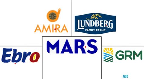 비바스마티 쌀 시장 규모 및 점유율 분석 산업 연구 보고서 성장 추세