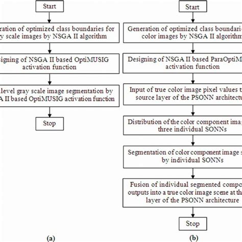 A Flow Diagram Of Gray Scale Image Segmentation Using Nsga Ii Based