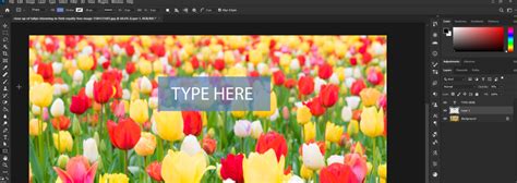 Solved How Can I Write Text Over The Image In Square Box Adobe