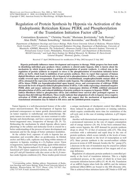 Pdf Regulation Of Protein Synthesis By Hypoxia Via Activation Of The Endoplasmic Reticulum